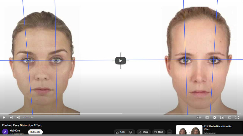 How can i create the flashed face distortion effect on shotcut? - Help ...