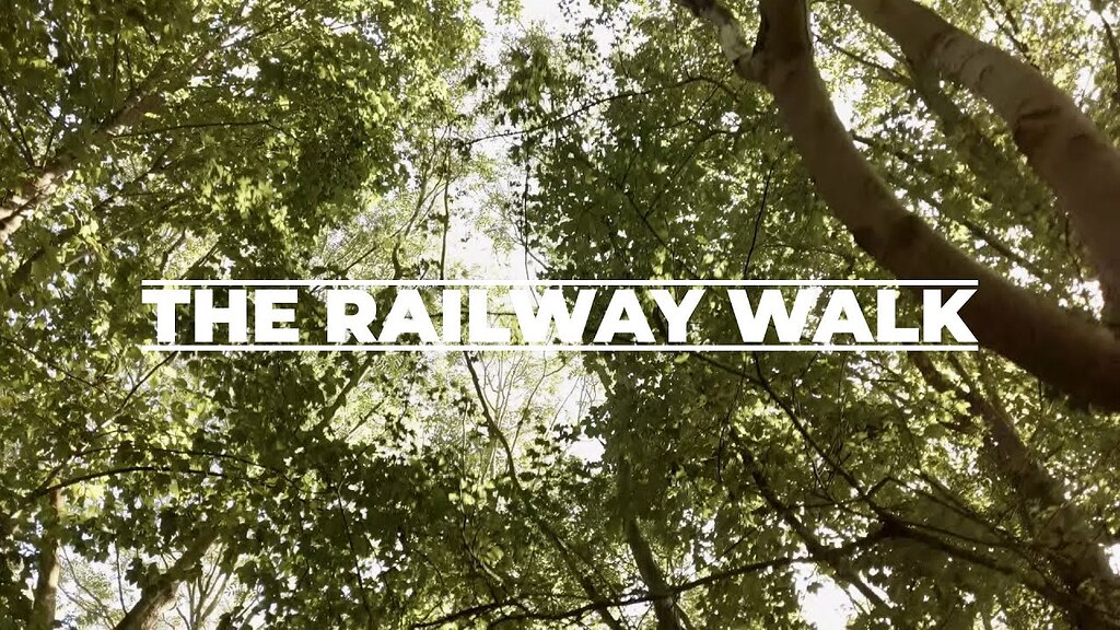 Second B-Roll Video made only with a Pixel 3A and Shotcut - 1st whip ...