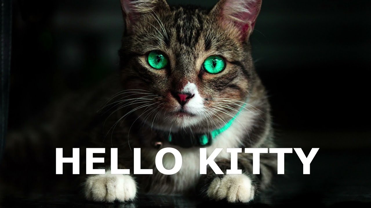 How To Fade Text In Shotcut In A Really Easy Intuitive Fashion 